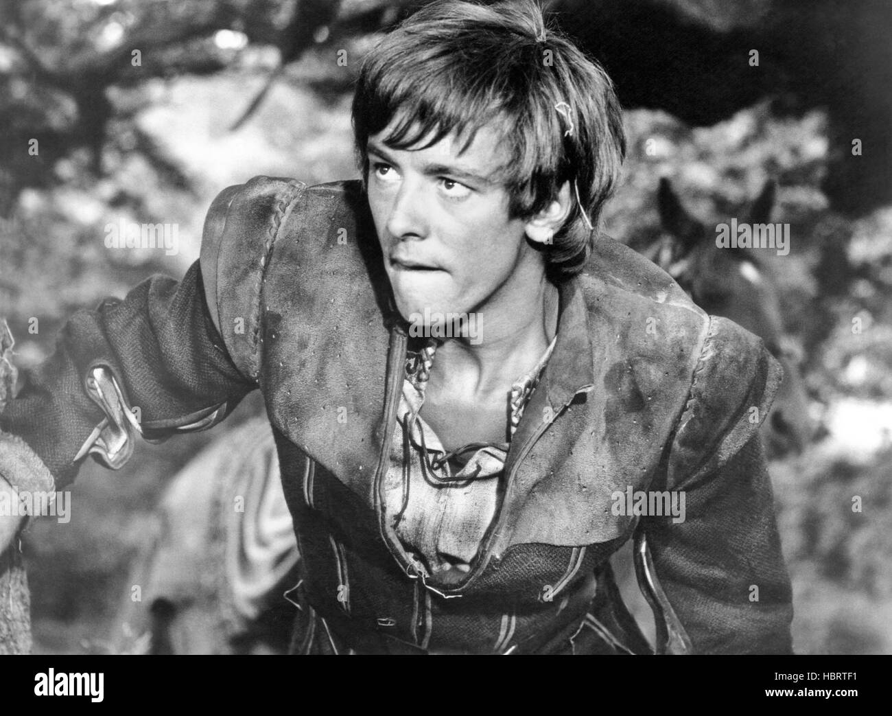 THE FIGHTING PRINCE OF DONEGAL, Peter McEnery, 1966 Stock Photo - Alamy