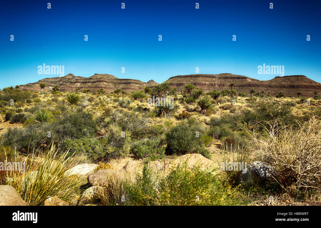 desert in california Stock Photo - Alamy