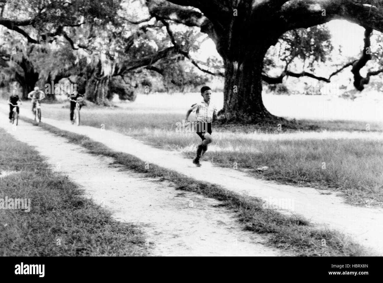 FORREST GUMP, Michael Conner Humphreys, 1994,©Paramount Pictures ...