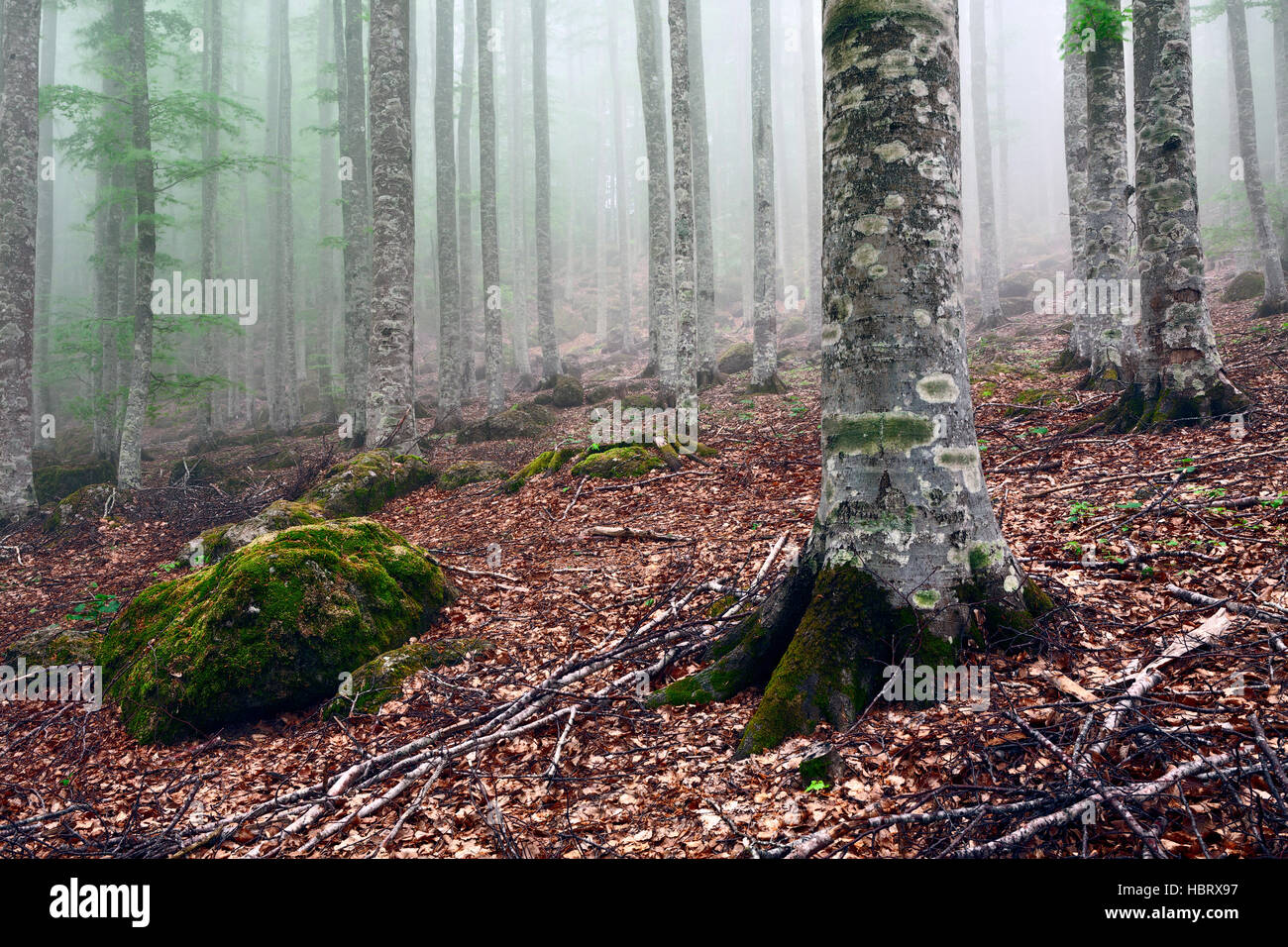 Mount Amiata High Resolution Stock Photography and Images - Alamy