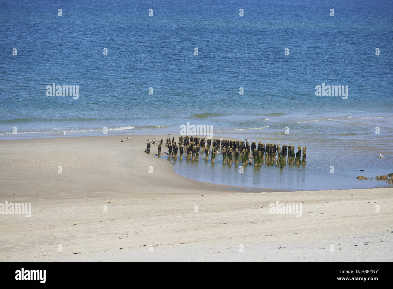 Strandkoerbe grass hi-res stock photography and images - Alamy