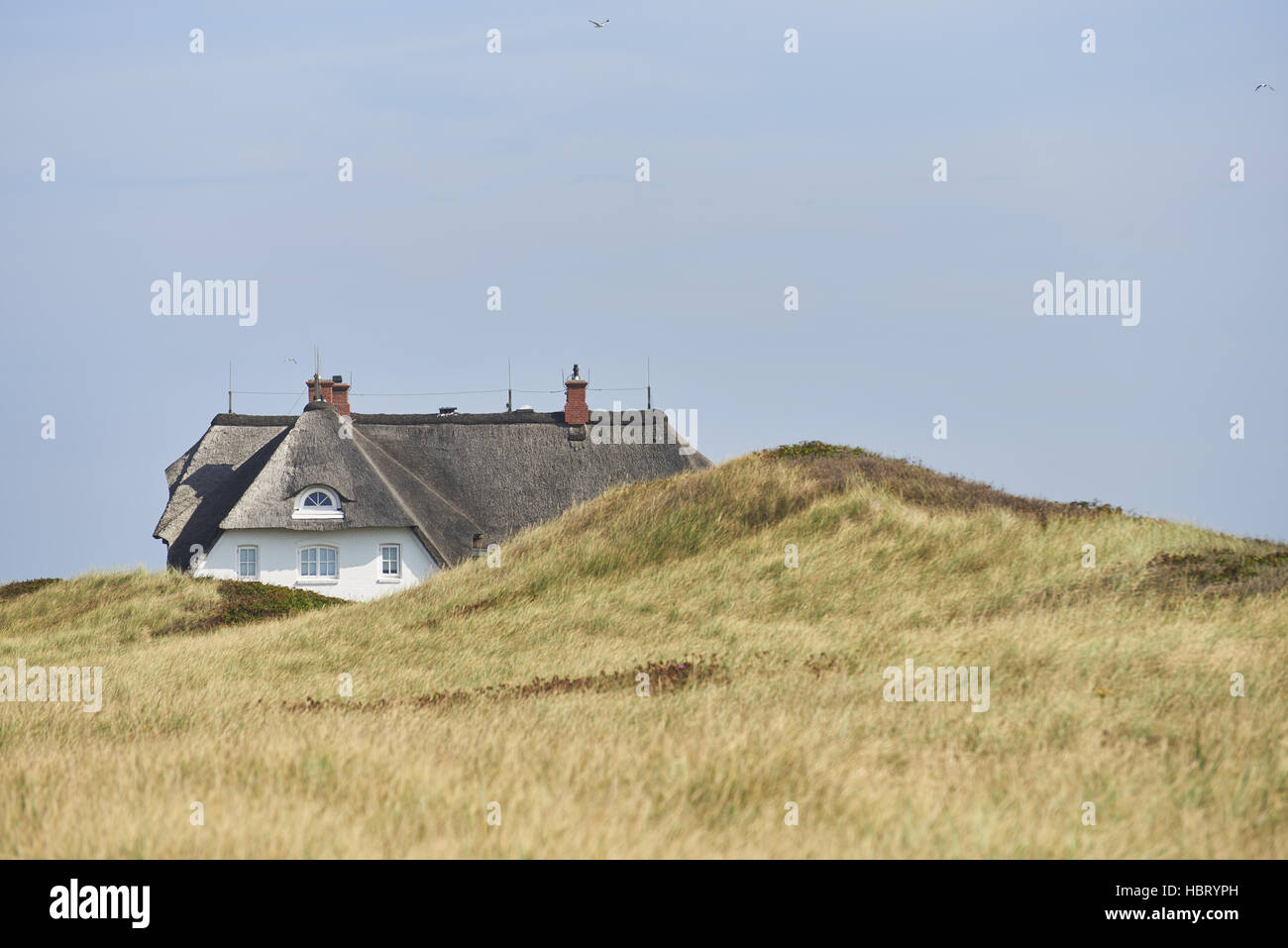 Strandkoerbe grass hi-res stock photography and images - Alamy