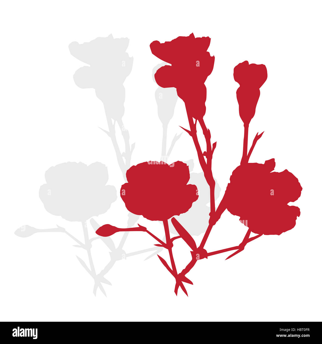 Carnation outline hi-res stock photography and images - Alamy