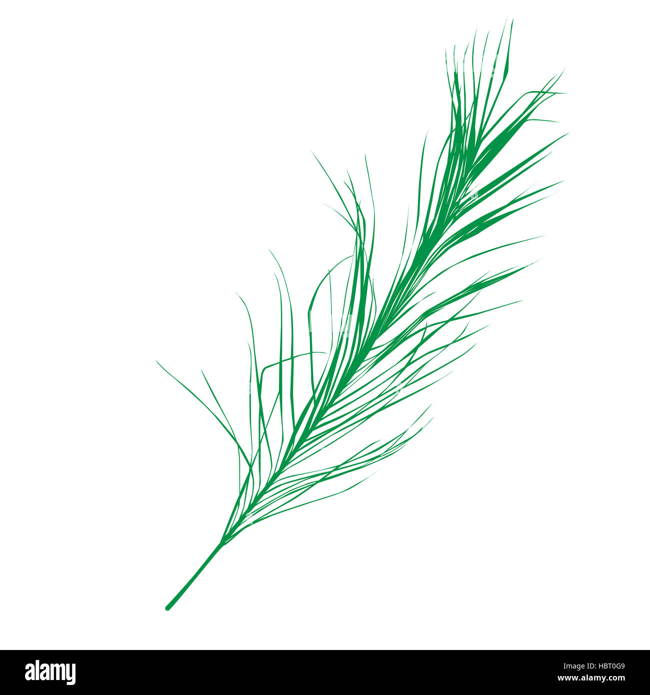 Simple style palm tree Cut Out Stock Images & Pictures - Alamy