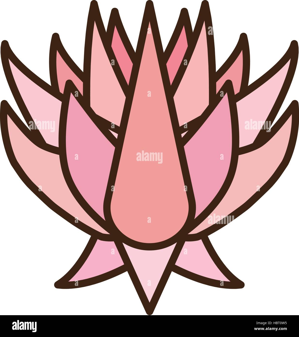 beautiful pink lotus flower icon Stock Vector Image & Art - Alamy