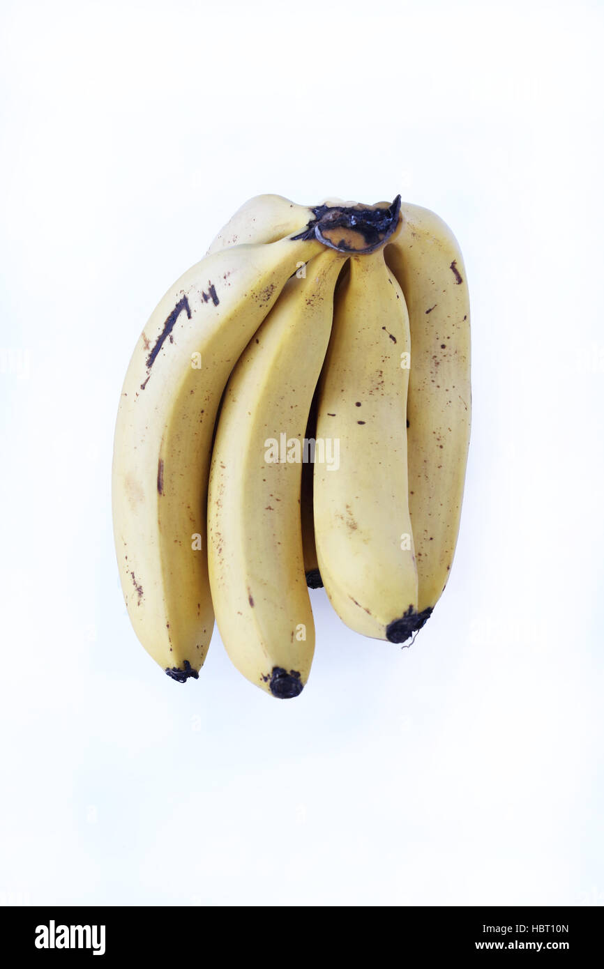 A bunch of Cavendish banana isolated on white background Stock Photo ...