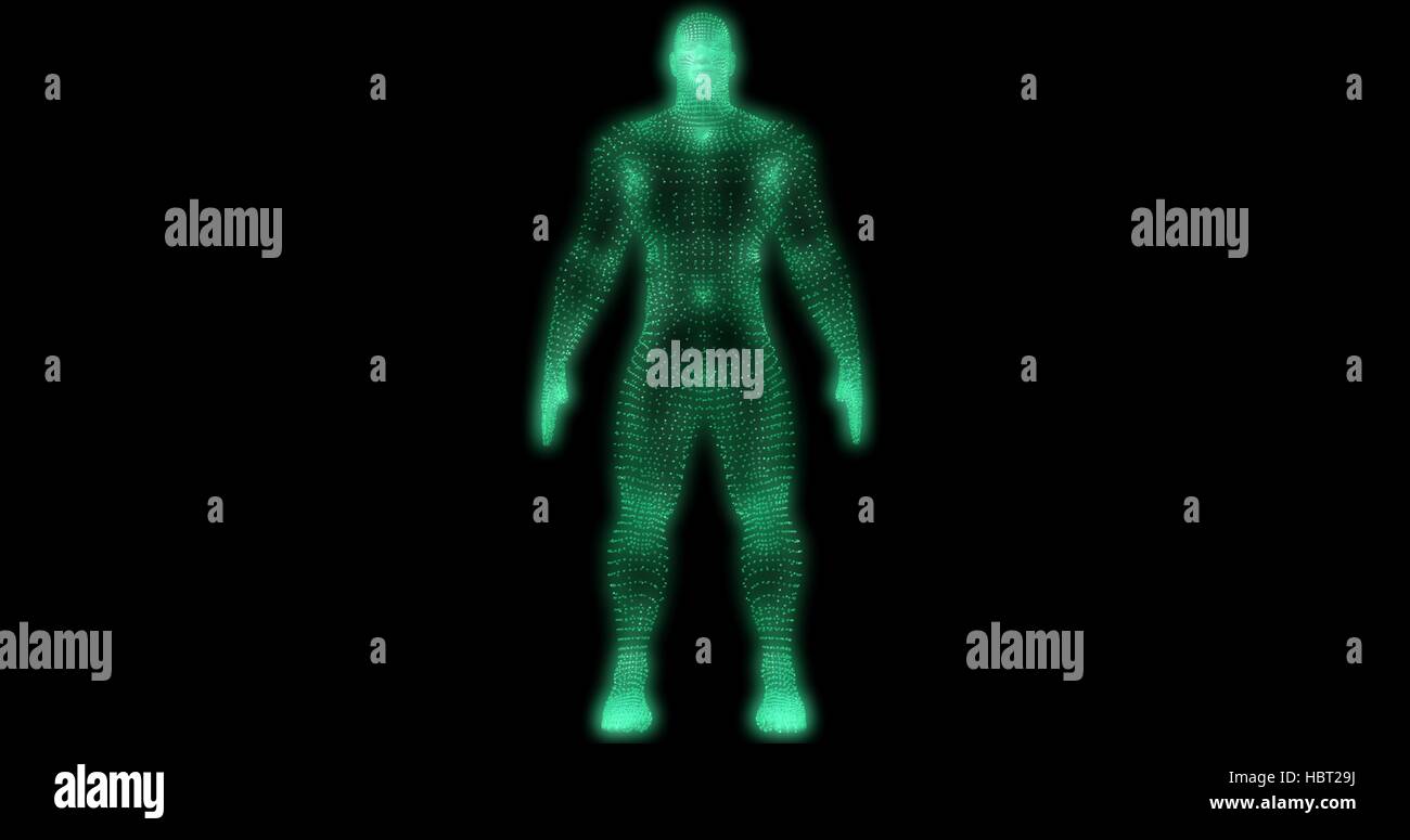 3d digital render male anatomy hi-res stock photography and images - Alamy