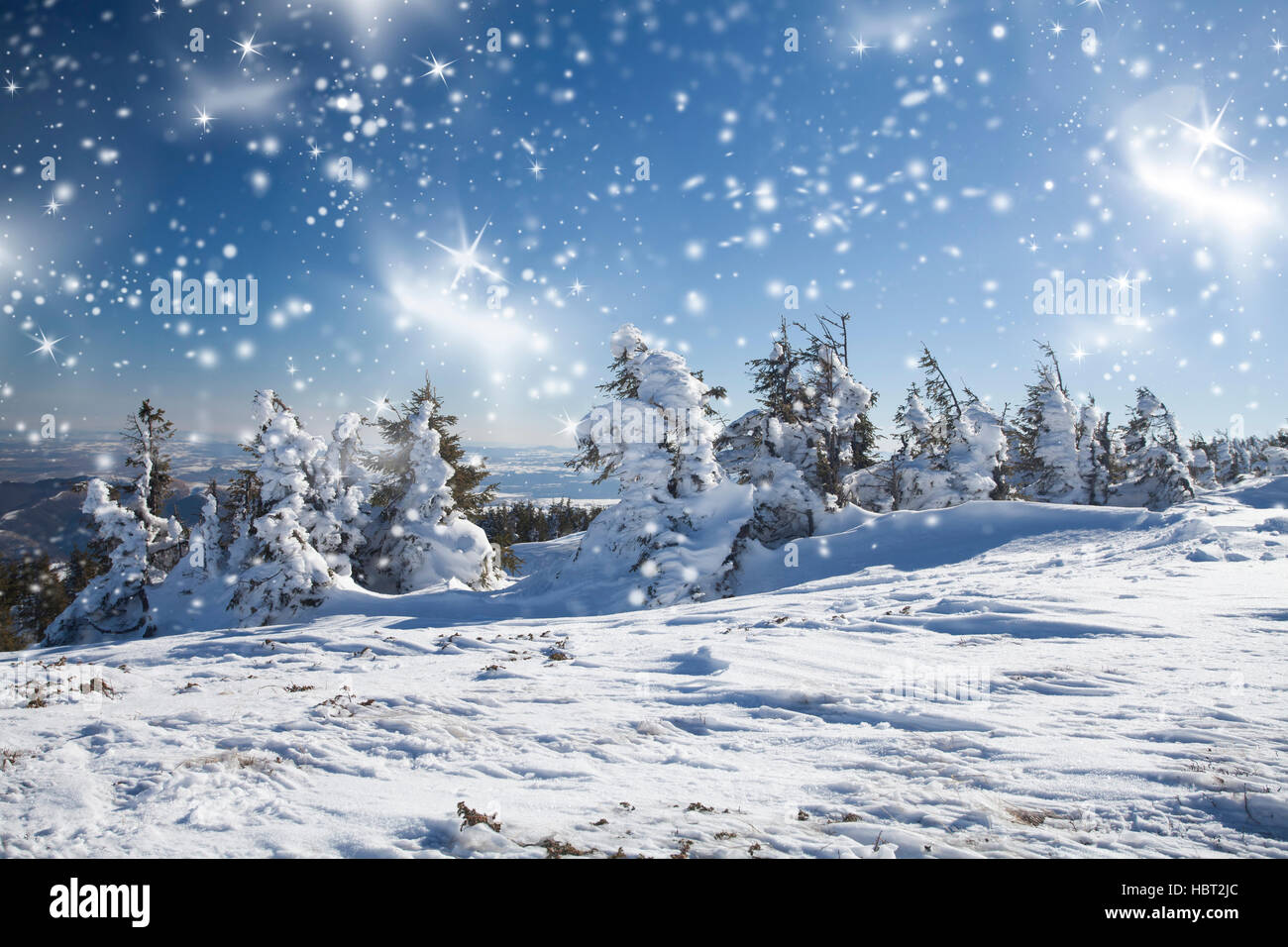 Christmas background with snowy fir trees and snowfall Stock Photo - Alamy