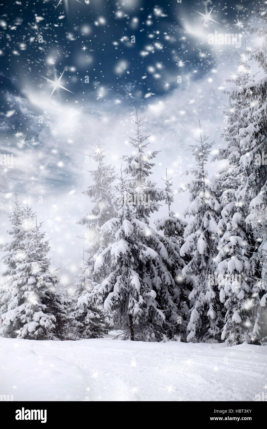 Christmas background with snowy fir trees and snowfall Stock Photo - Alamy