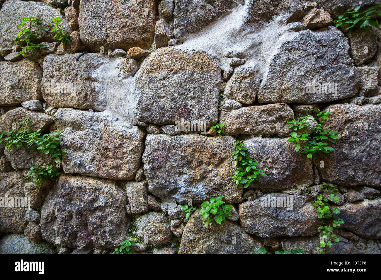 Texture large old stone hi-res stock photography and images - Alamy