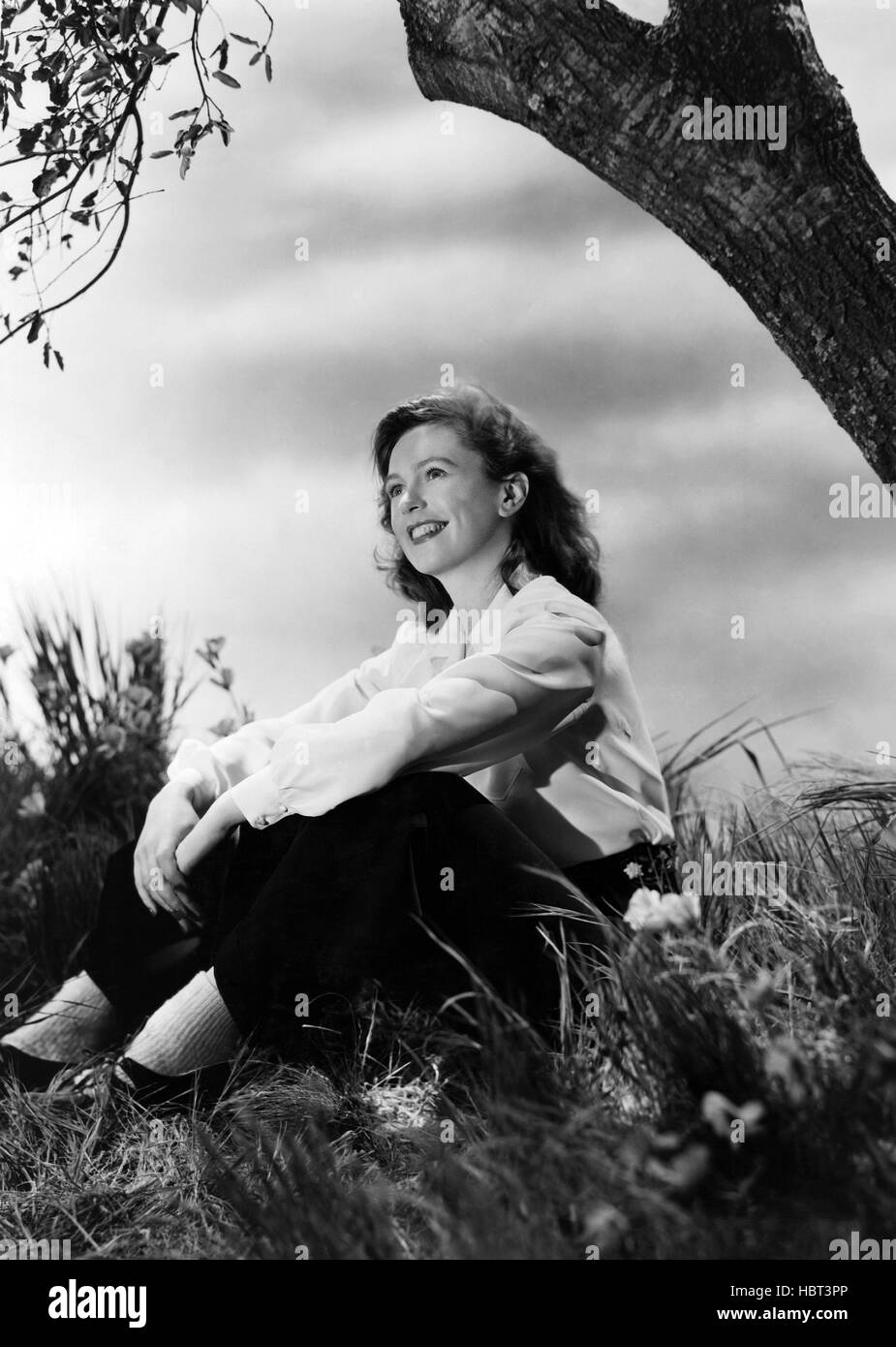 THE GAY SISTERS, Geraldine Fitzgerald, 1942 Stock Photo - Alamy