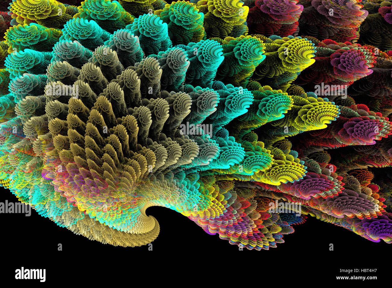 Abstract fractal image colorful sea shells Stock Photo - Alamy