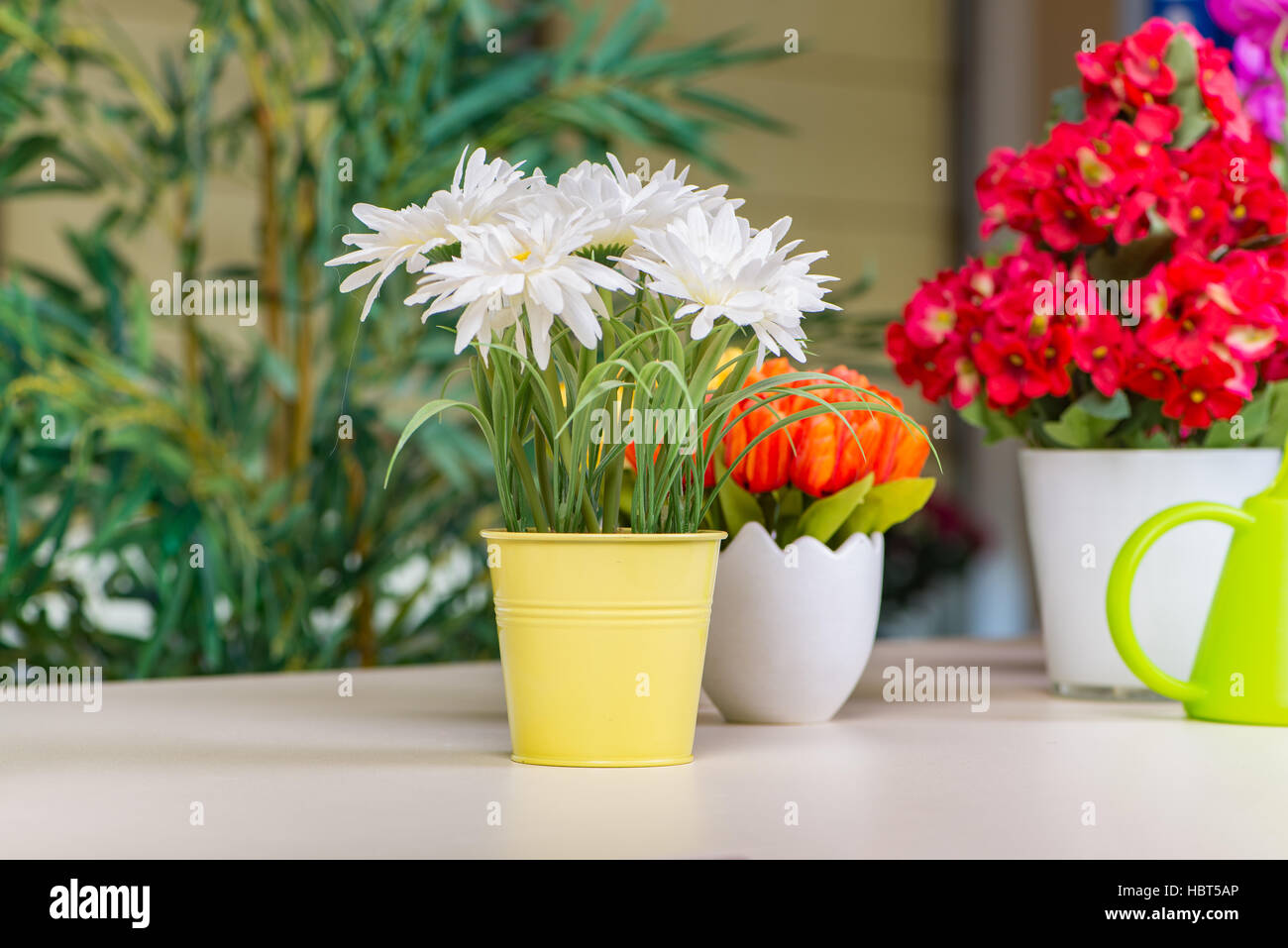 Flowers in the pot at home Stock Photo - Alamy