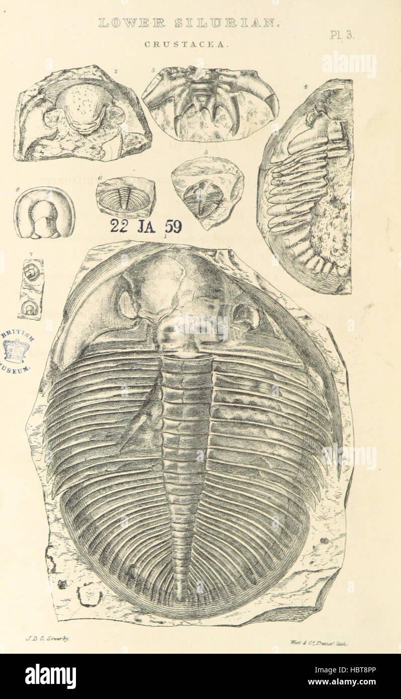 Image taken from page 638 of '[Siluria The history of Stock Photo - Alamy