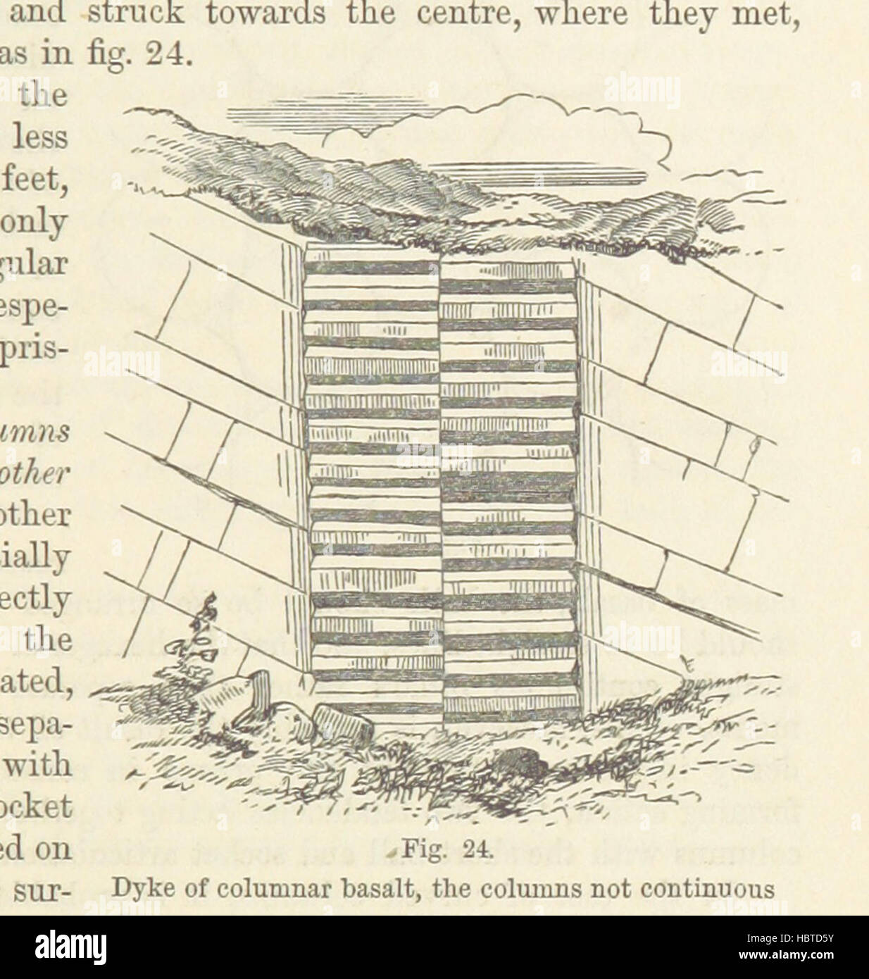 Image taken from page 243 of '[The Student's Manual of Stock Photo - Alamy