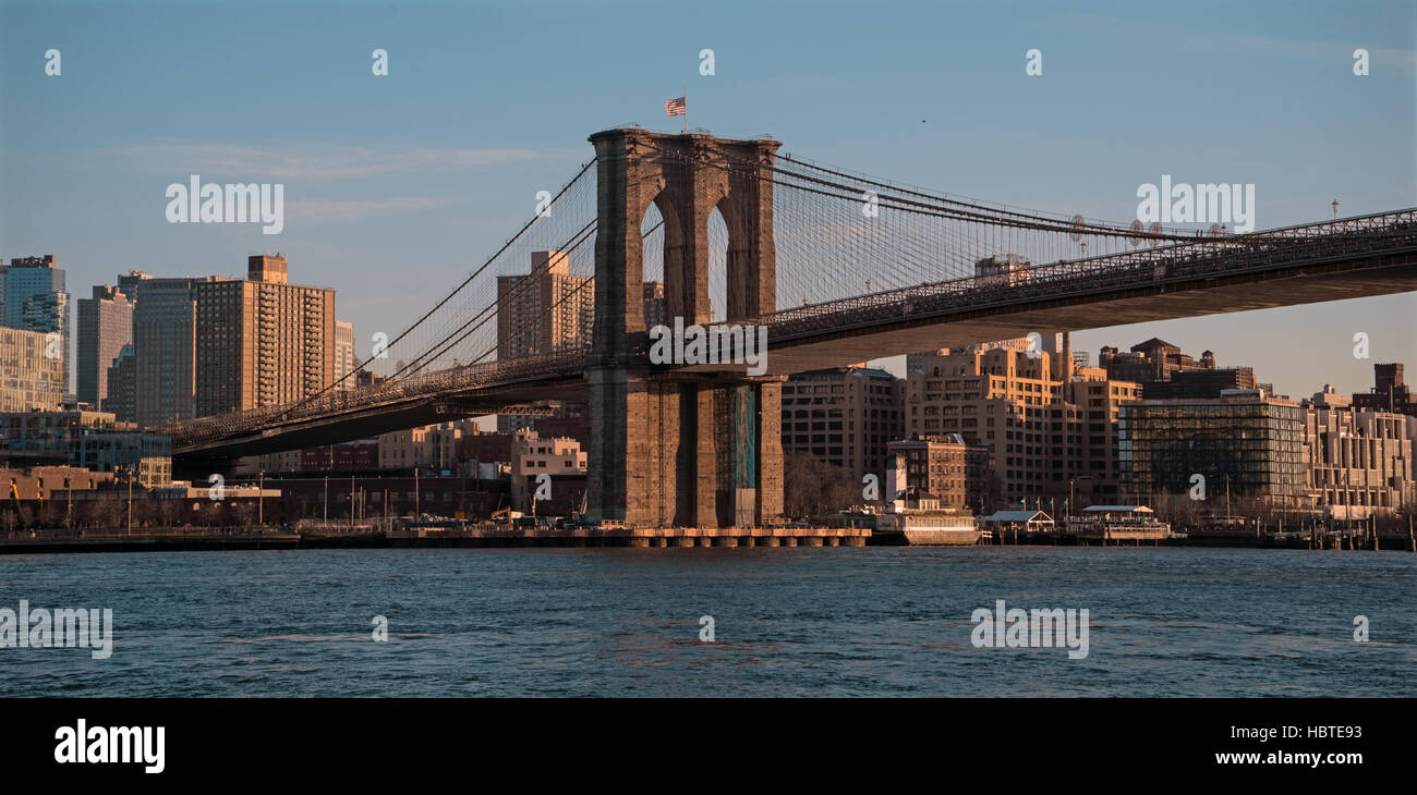 Cats of brooklyn hi-res stock photography and images - Alamy