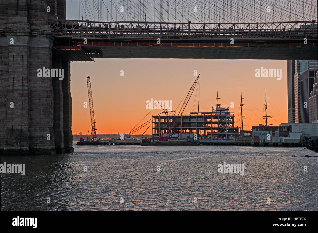 Cats of brooklyn hi-res stock photography and images - Alamy
