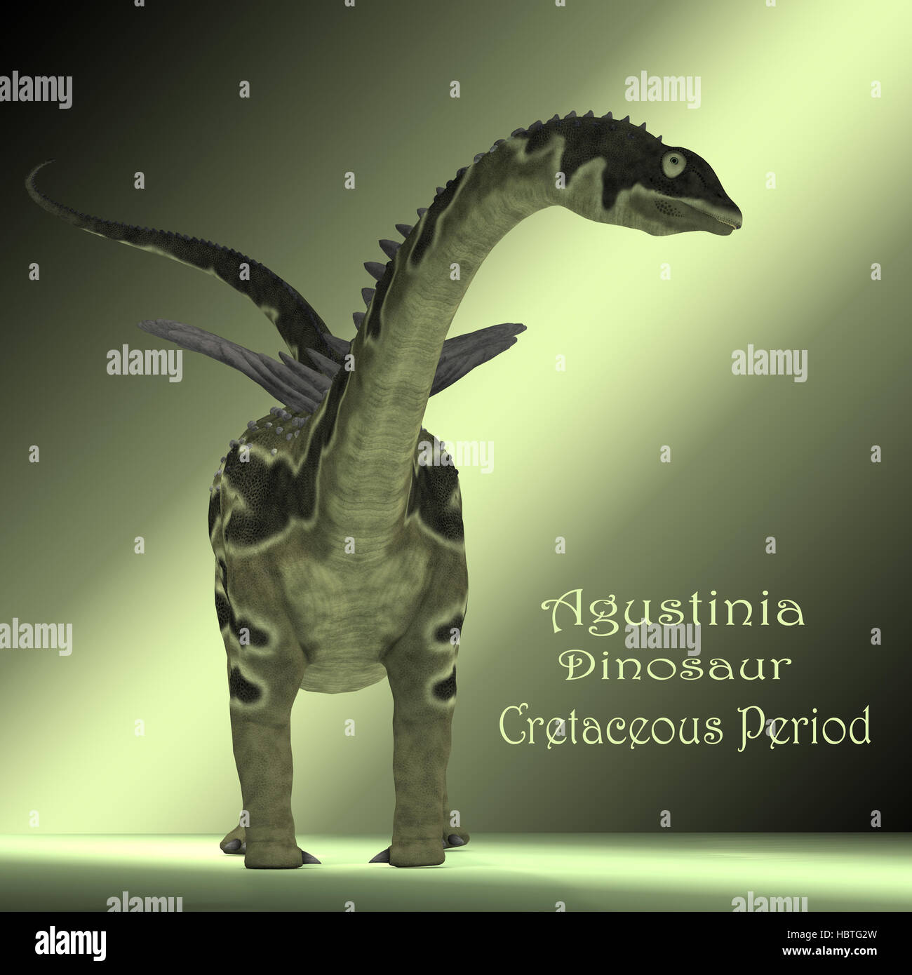 Agustinia was a herbivorous sauropod dinosaur that lived in South ...