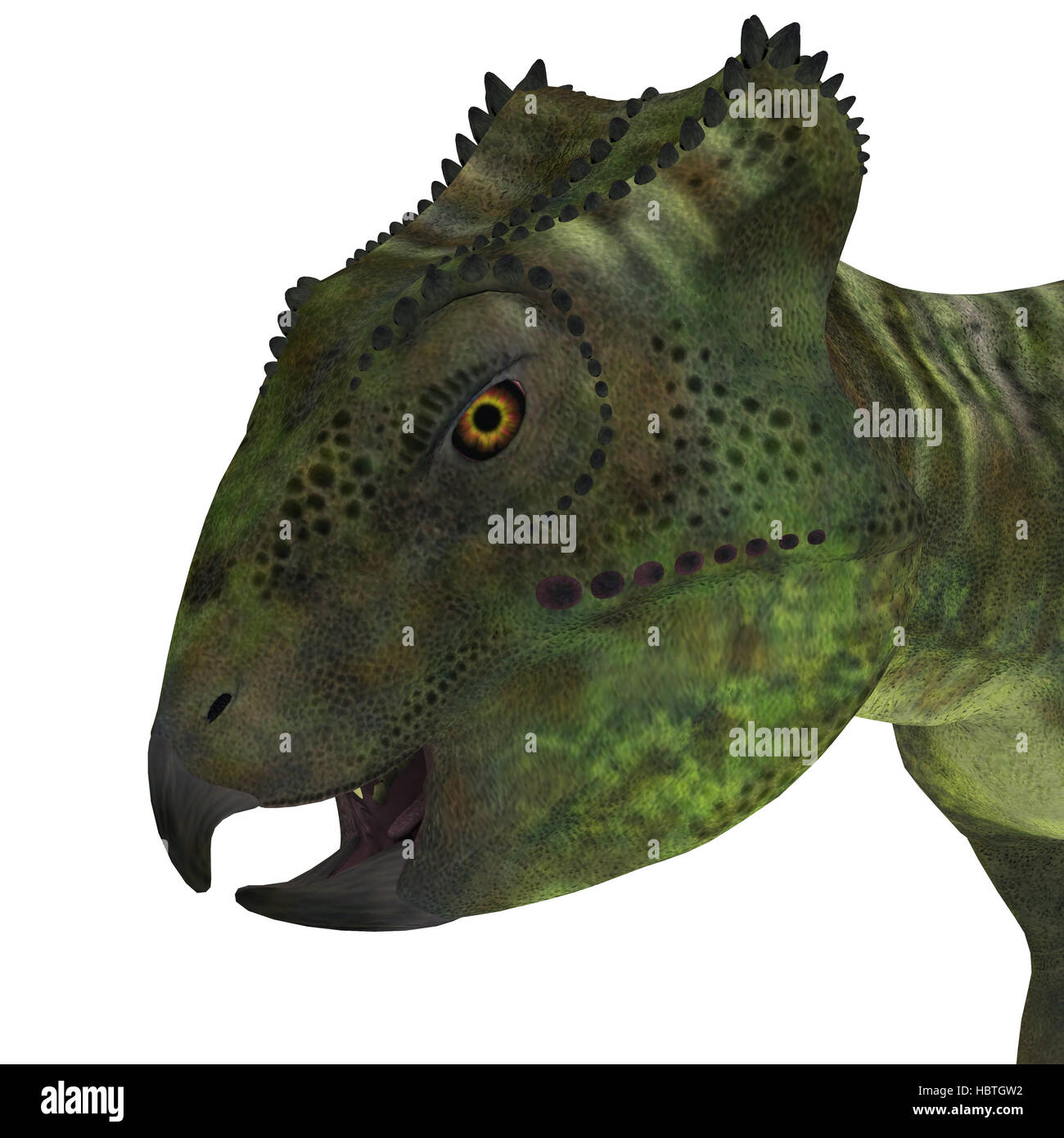 Archaeoceratops was a Ceratopsian herbivorous dinosaur that lived in ...