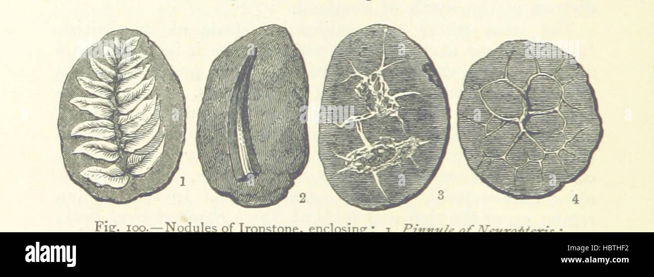 An Intermediate Text-Book of Geology. By C. Lapworth ... Founded on the ...