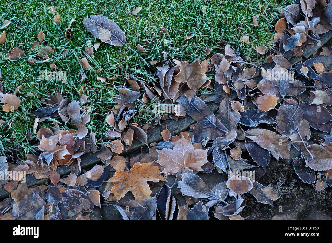 Fall ground help hi-res stock photography and images - Alamy