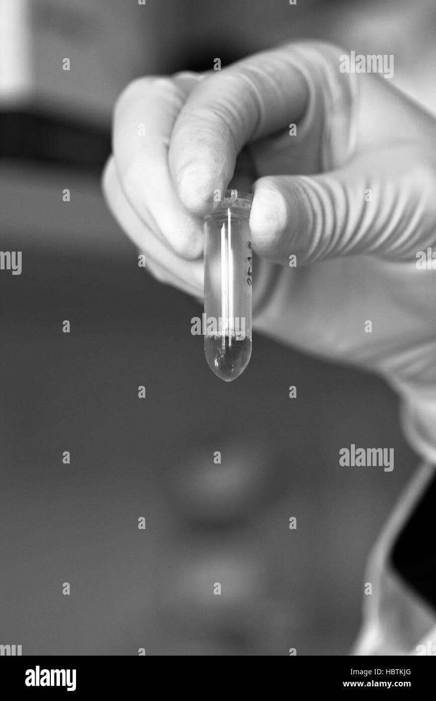 Labwork hi-res stock photography and images - Alamy