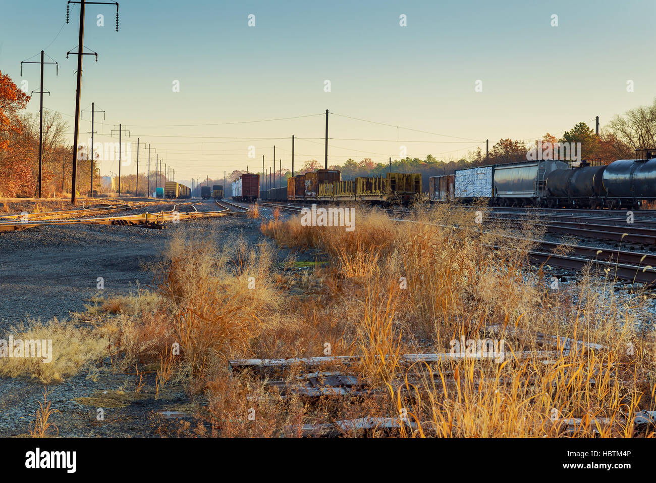 Railroad scene with cargo train road railway wagons Stock Photo - Alamy