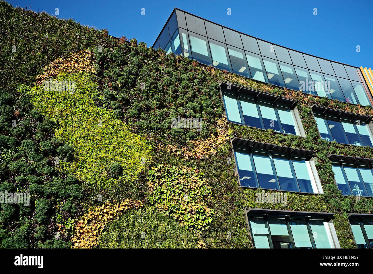 MTV building Camden London grass clad wall glass and grass architecture ...