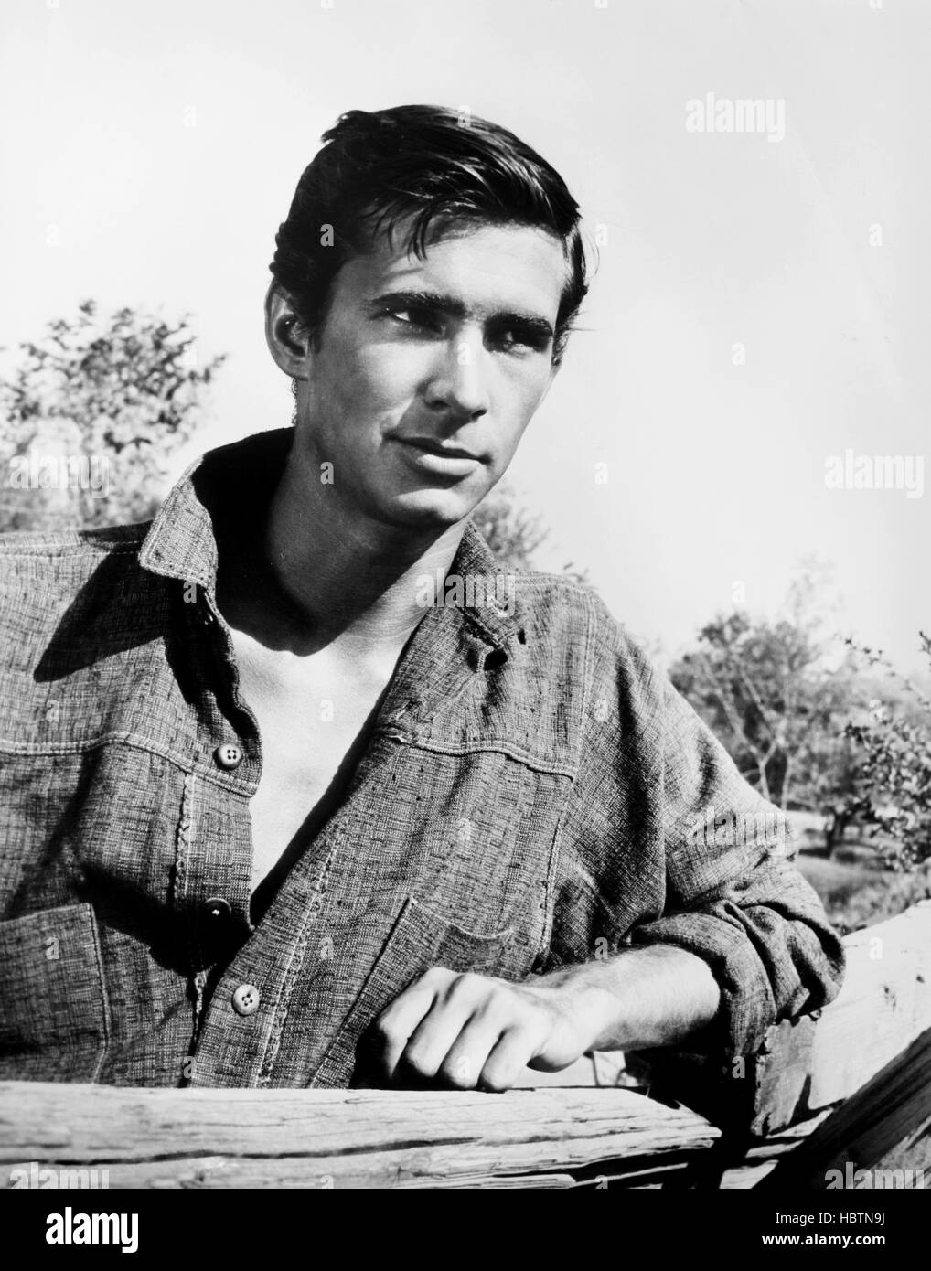FRIENDLY PERSUASION, Anthony Perkins, 1956 Stock Photo - Alamy