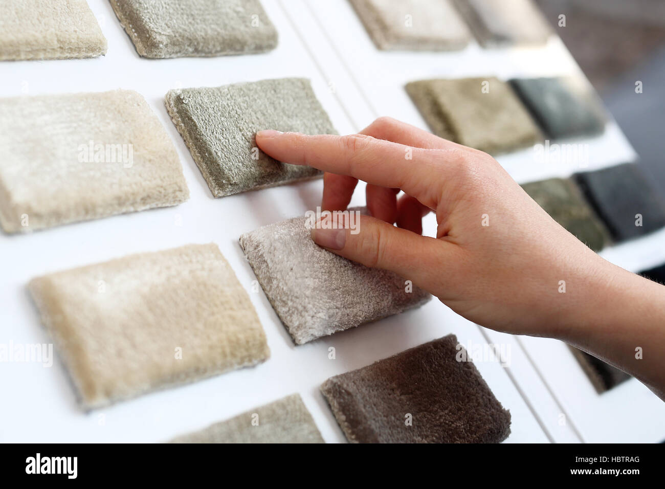 Shop carpets. Picker carpet. Woman in shop with carpets chooses carpet ...