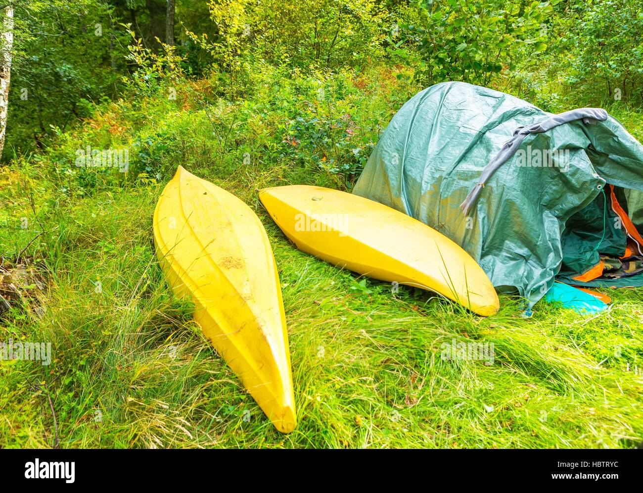 Camping in forest Stock Photo - Alamy