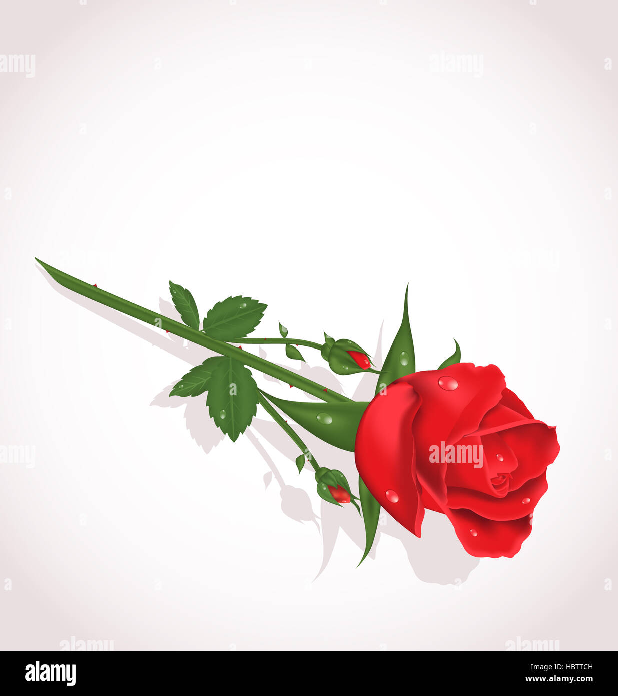 Elegant anniversary design hi-res stock photography and images - Alamy