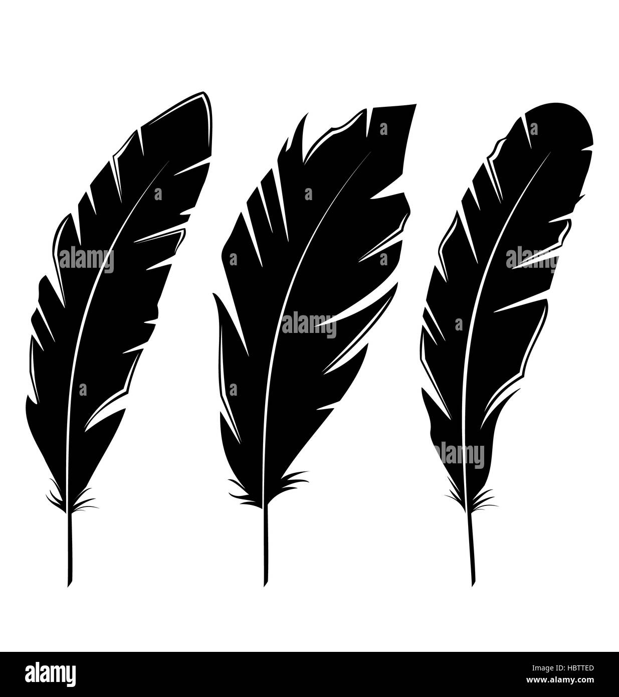 Background black white feathers Black and White Stock Photos & Images ...