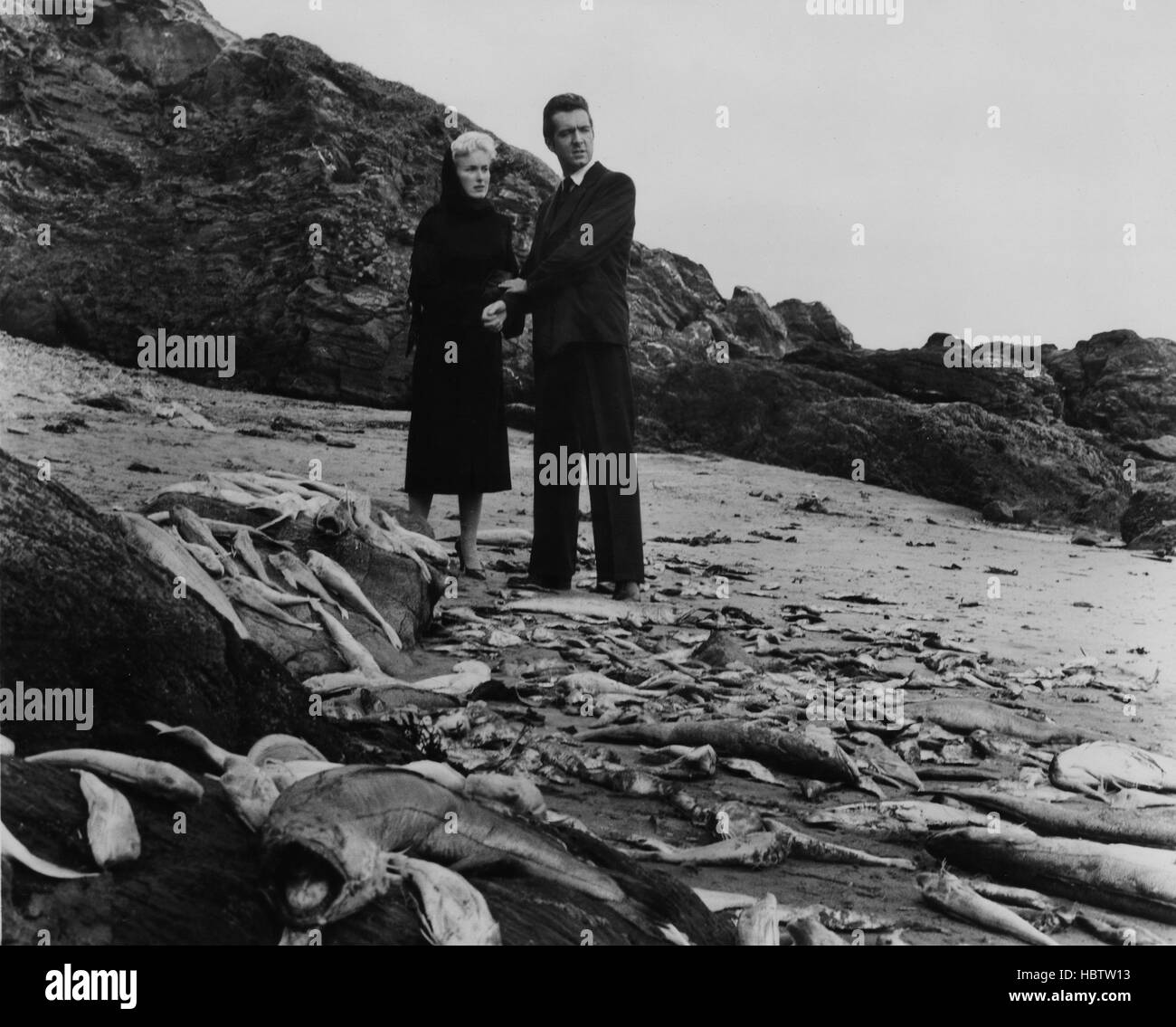 THE GIANT BEHEMOTH, Leigh Madison, John Turner, 1959 Stock Photo - Alamy