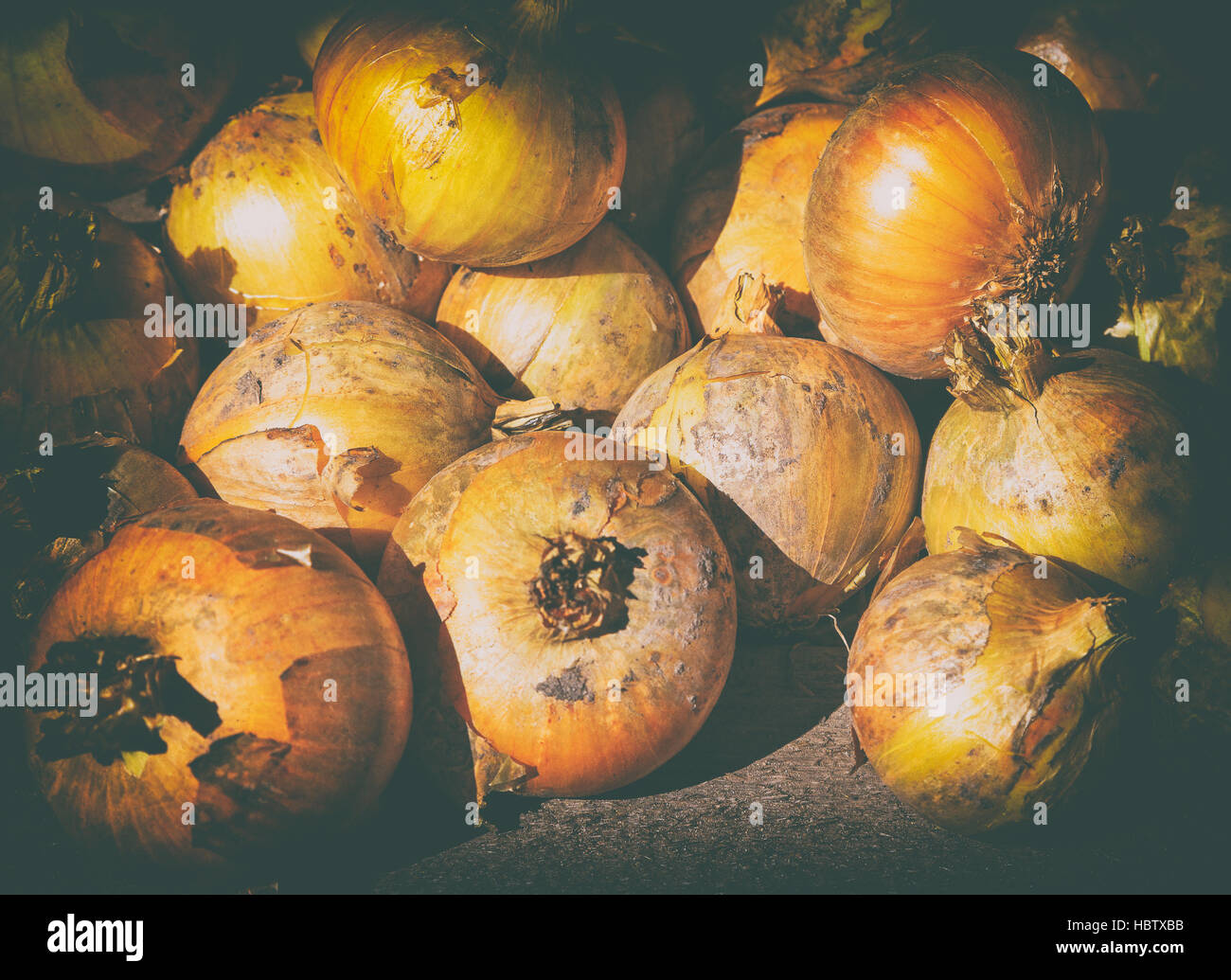 Ripe onions hi-res stock photography and images - Alamy