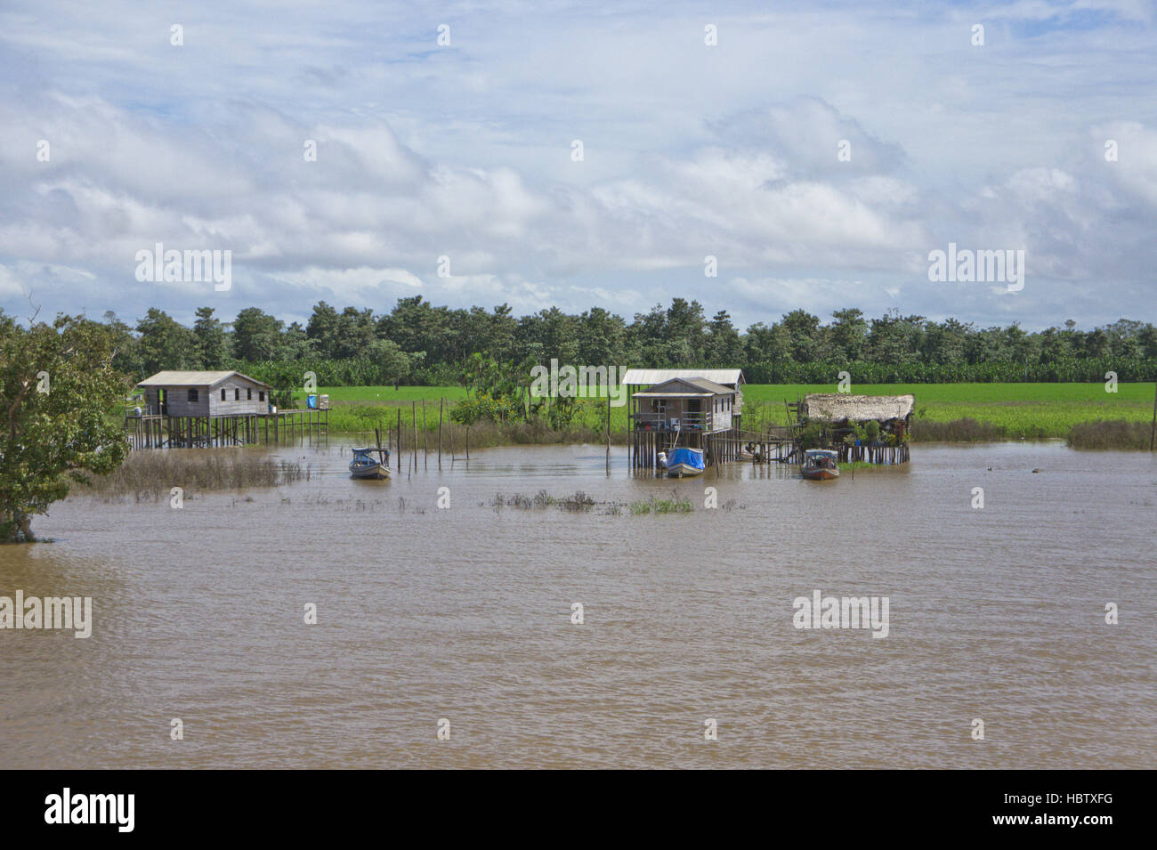 Amazon Basin, Brazil Stock Photo - Alamy
