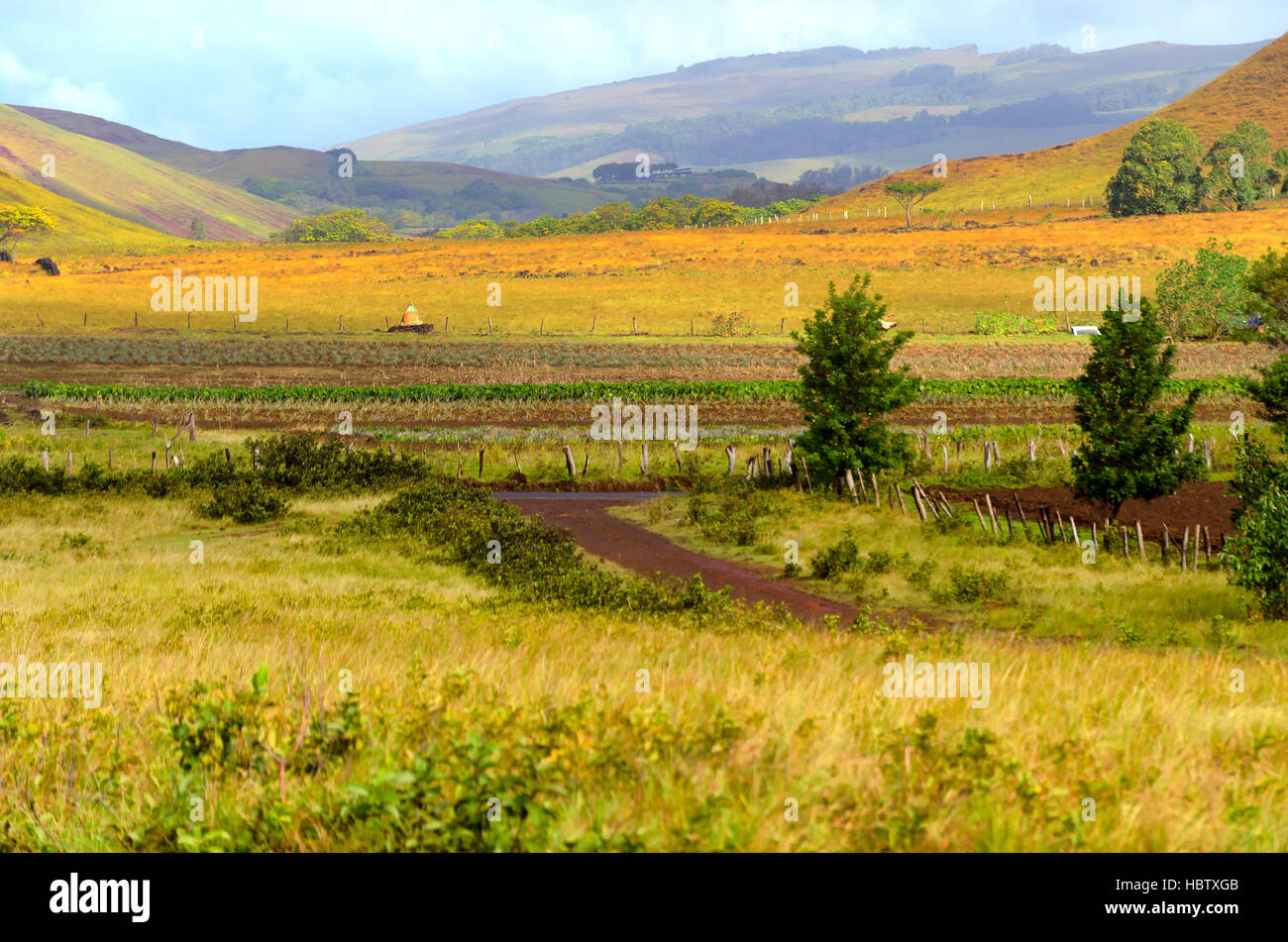 Beautiful landscape on Easter Island, Chile Stock Photo - Alamy