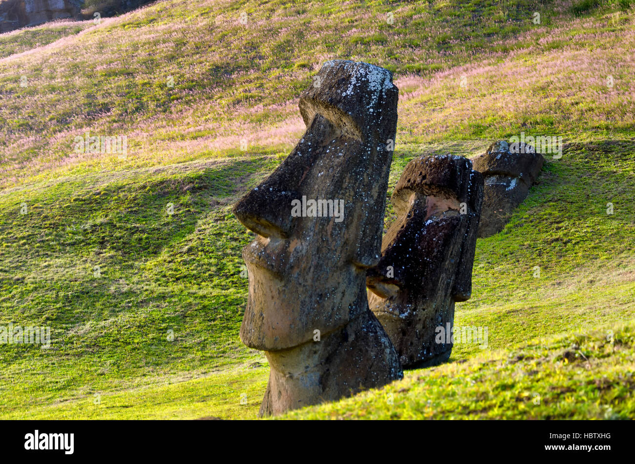 View of Moai at Rano Raraku on Easter Island in Chile Stock Photo - Alamy