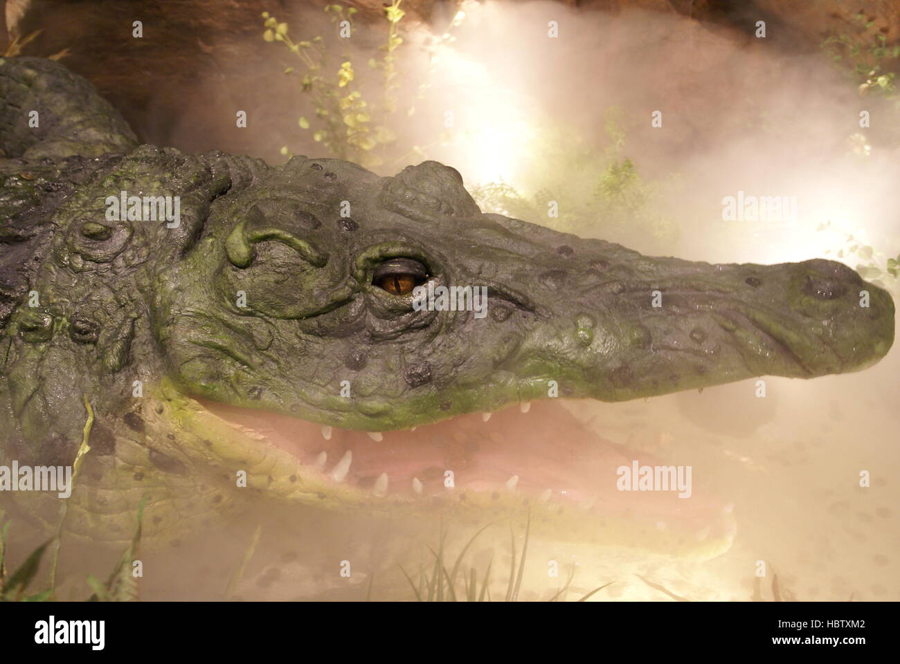 Rainforest cafe hi-res stock photography and images - Alamy