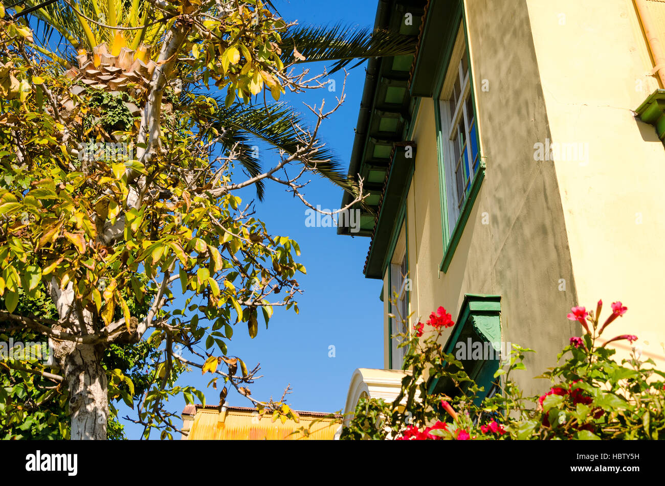 House and tree in Valparaiso, Chile are enhanced by red flowers Stock ...
