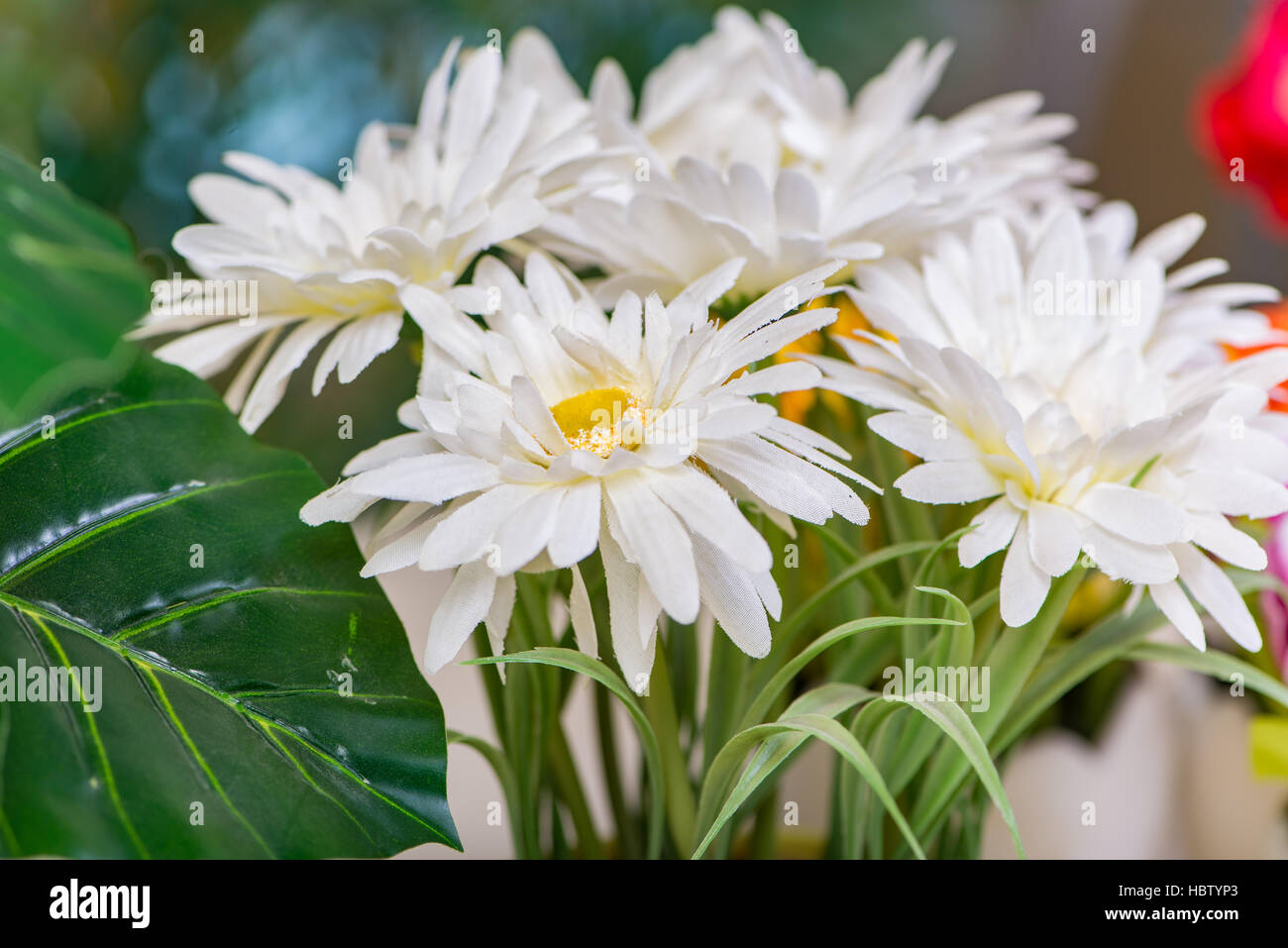 the-flowers-in-the-pot-at-home-stock-photo-alamy