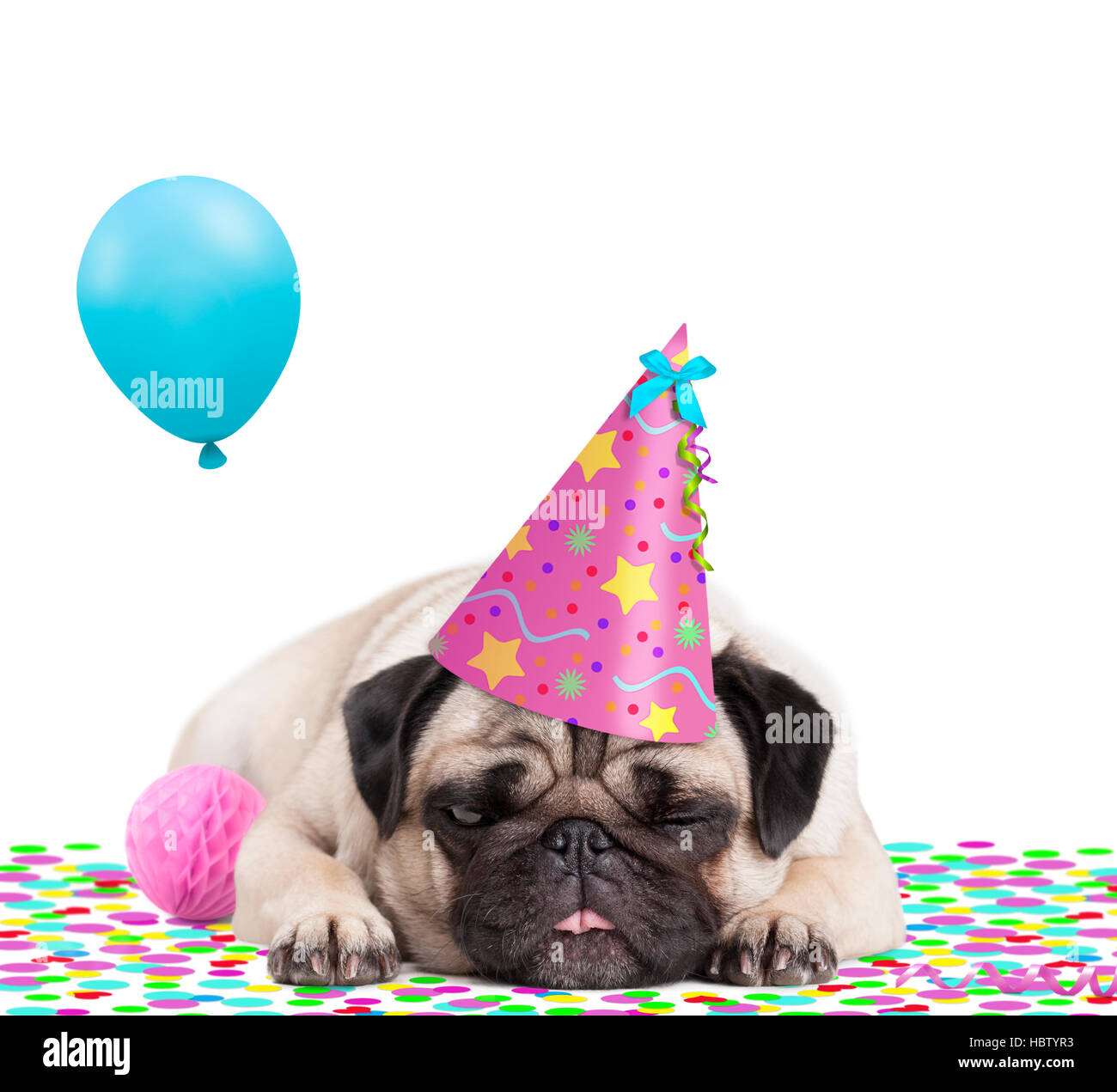 cute pug puppy dog with party hat lying down on confetti, sticking out ...