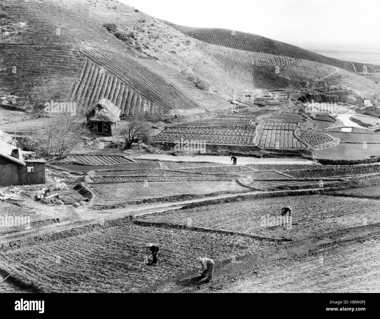 THE GOOD EARTH, 1937 Stock Photo - Alamy