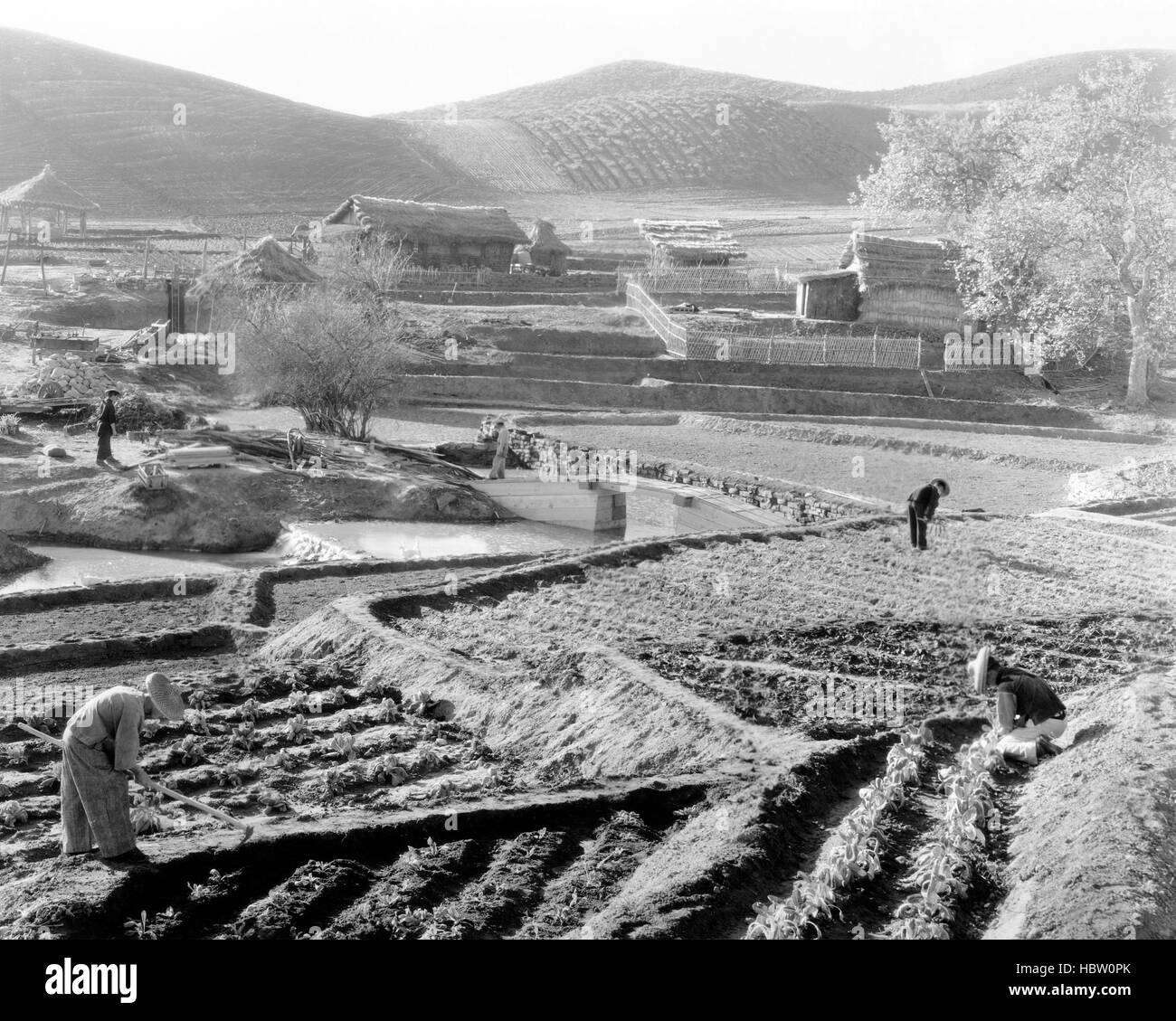 THE GOOD EARTH, 1937 Stock Photo - Alamy