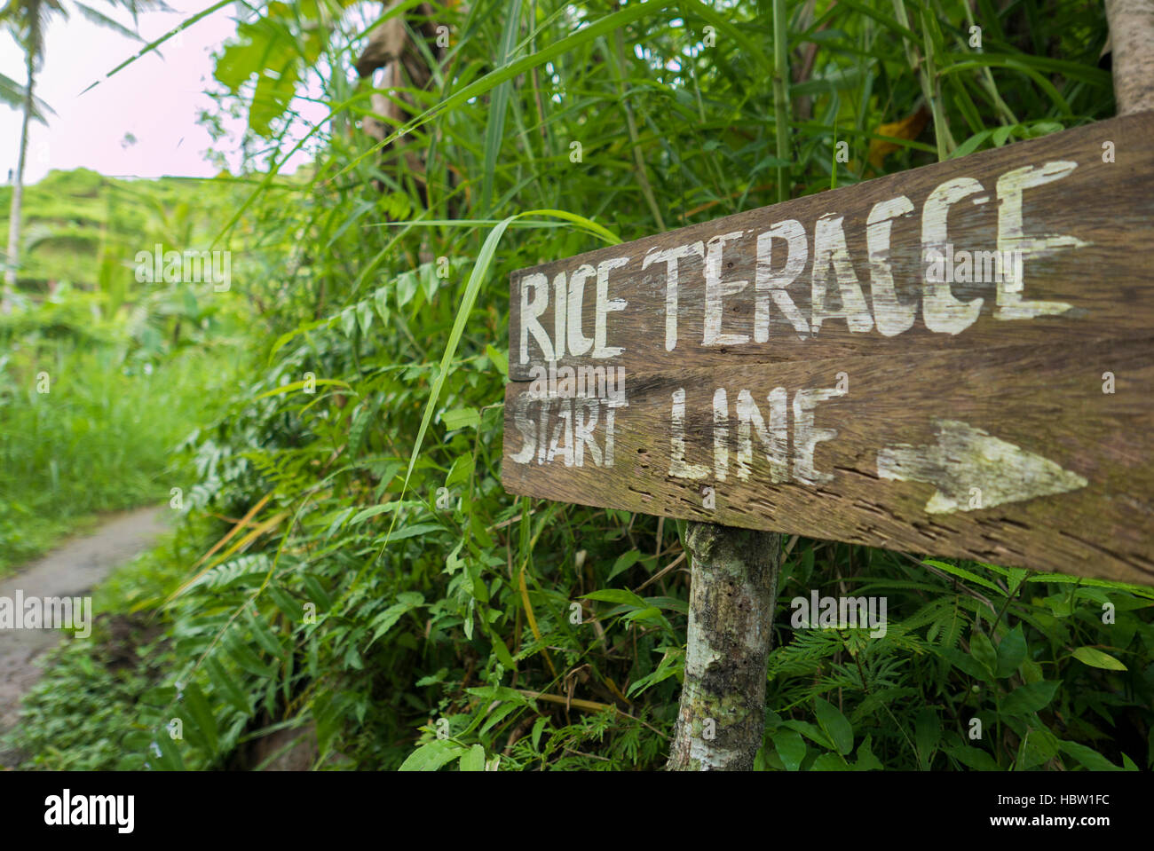 Rice terrace wooden sign board at the entrance of rice fields, Ubud ...