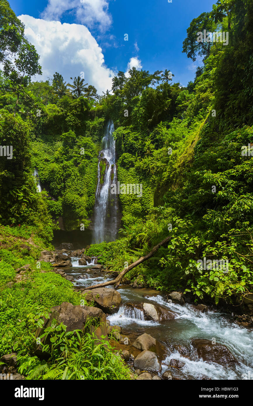 Sekumpul waterfall - Bali island Indonesia Stock Photo - Alamy