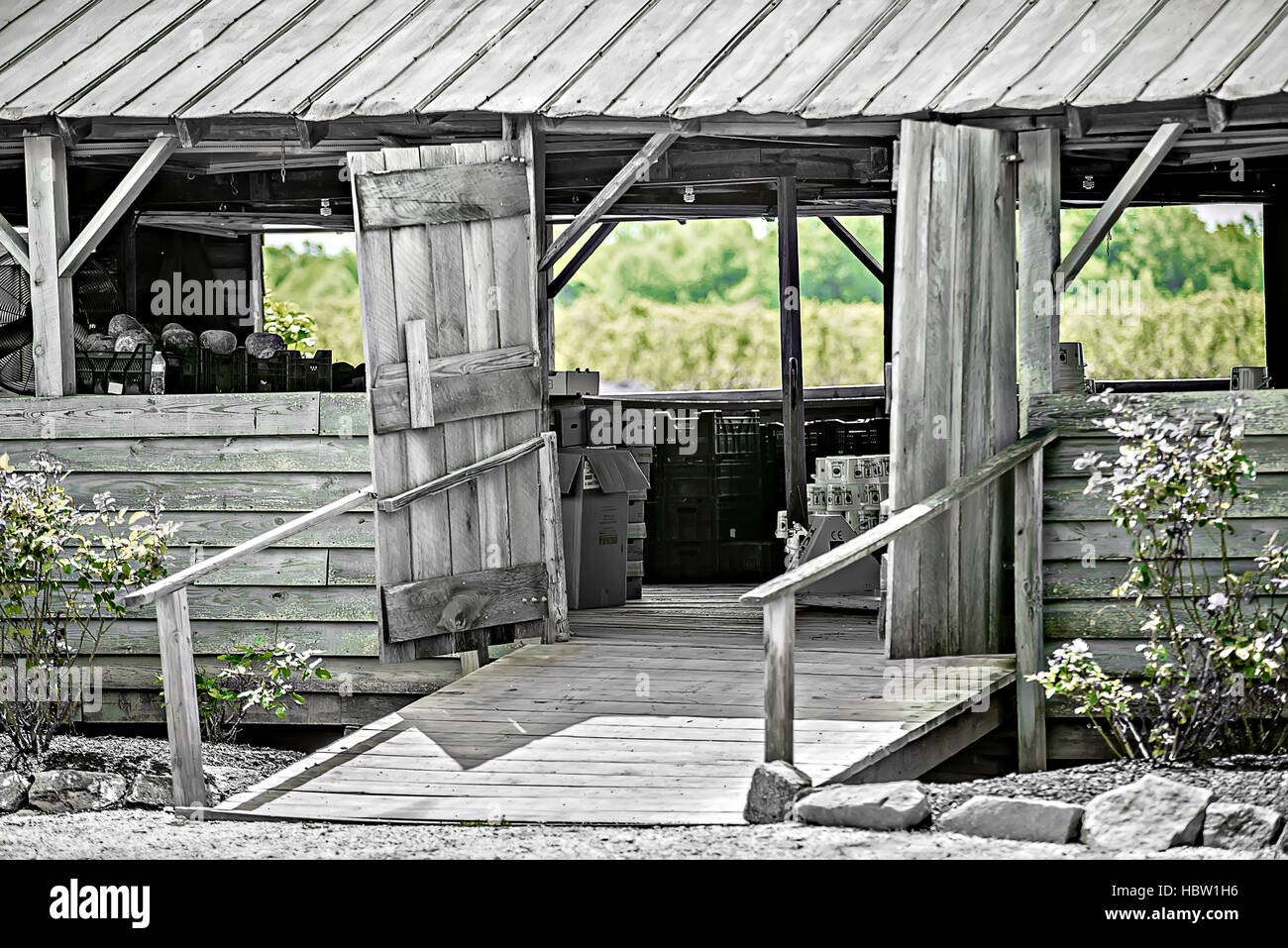 Sunny barn hi-res stock photography and images - Alamy