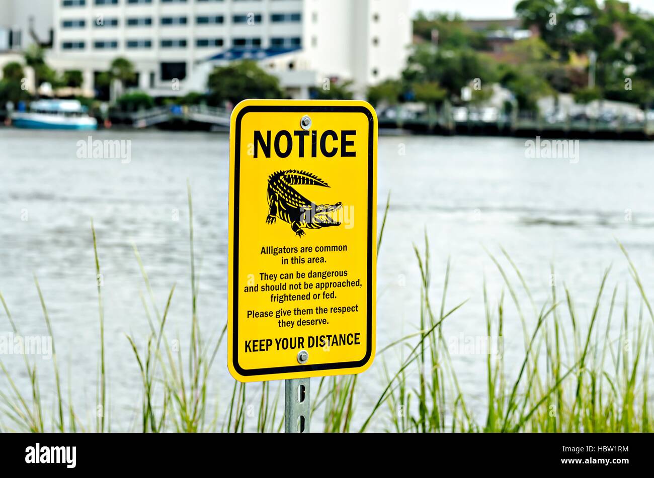 Alligator warning sign hi-res stock photography and images - Alamy