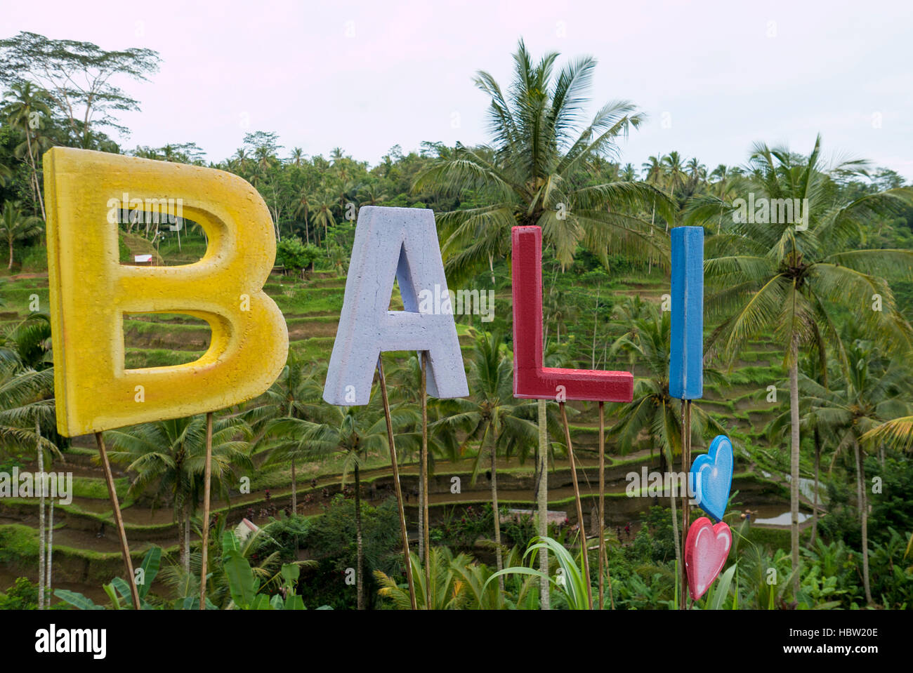 Word Bali in terrace fields near Ubud in Bali. Indonesia Stock Photo ...