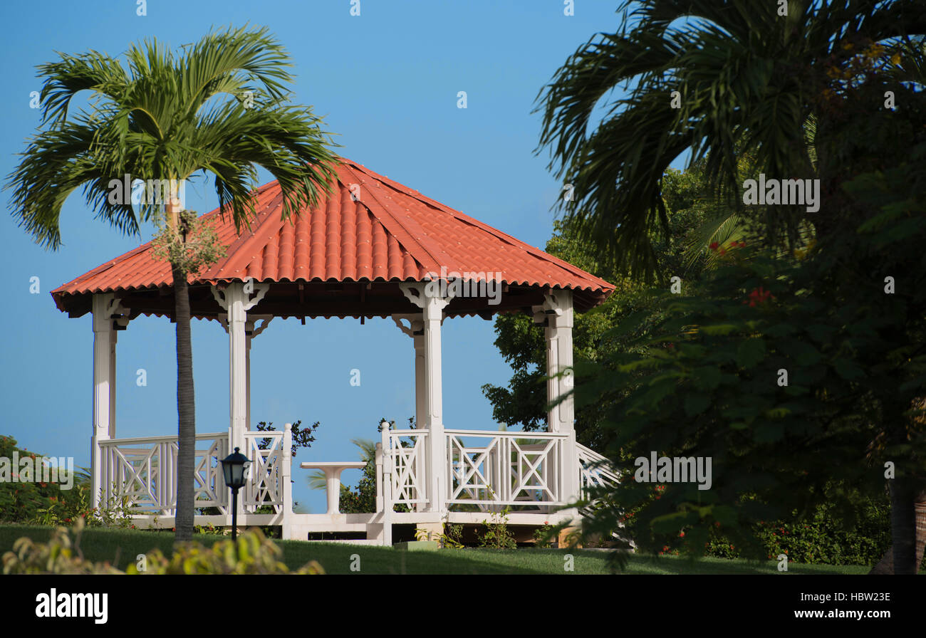 Cuban royal palm hi-res stock photography and images - Alamy